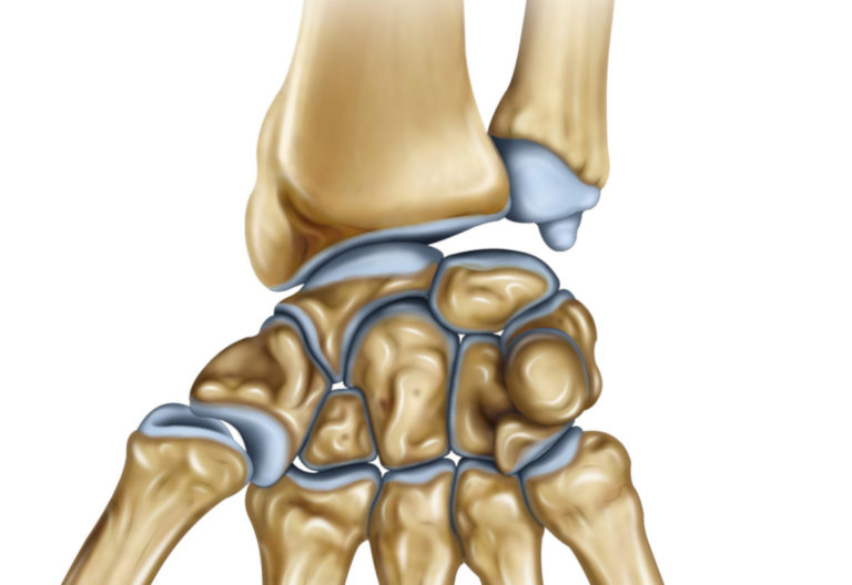 Comment fonctionne le poignet, Centre du Membre Supérieur Trénel